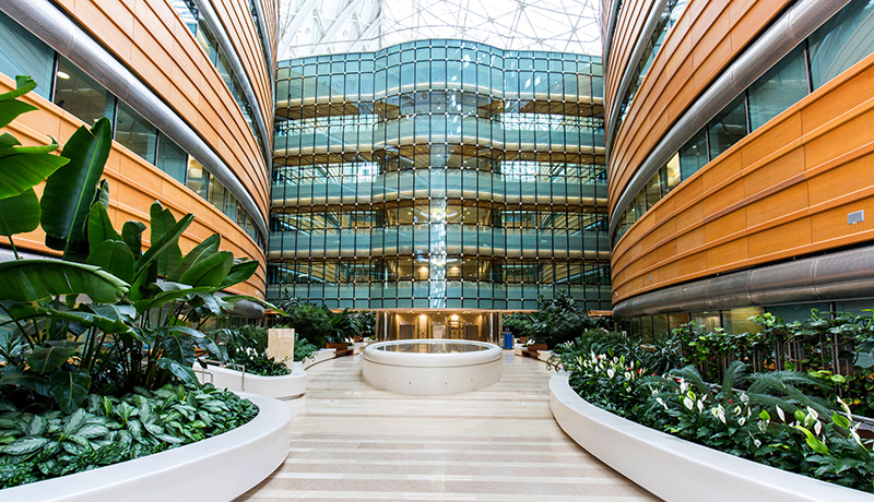 EDSA | Sidra Medical and Research Center | Campus and Healthcare