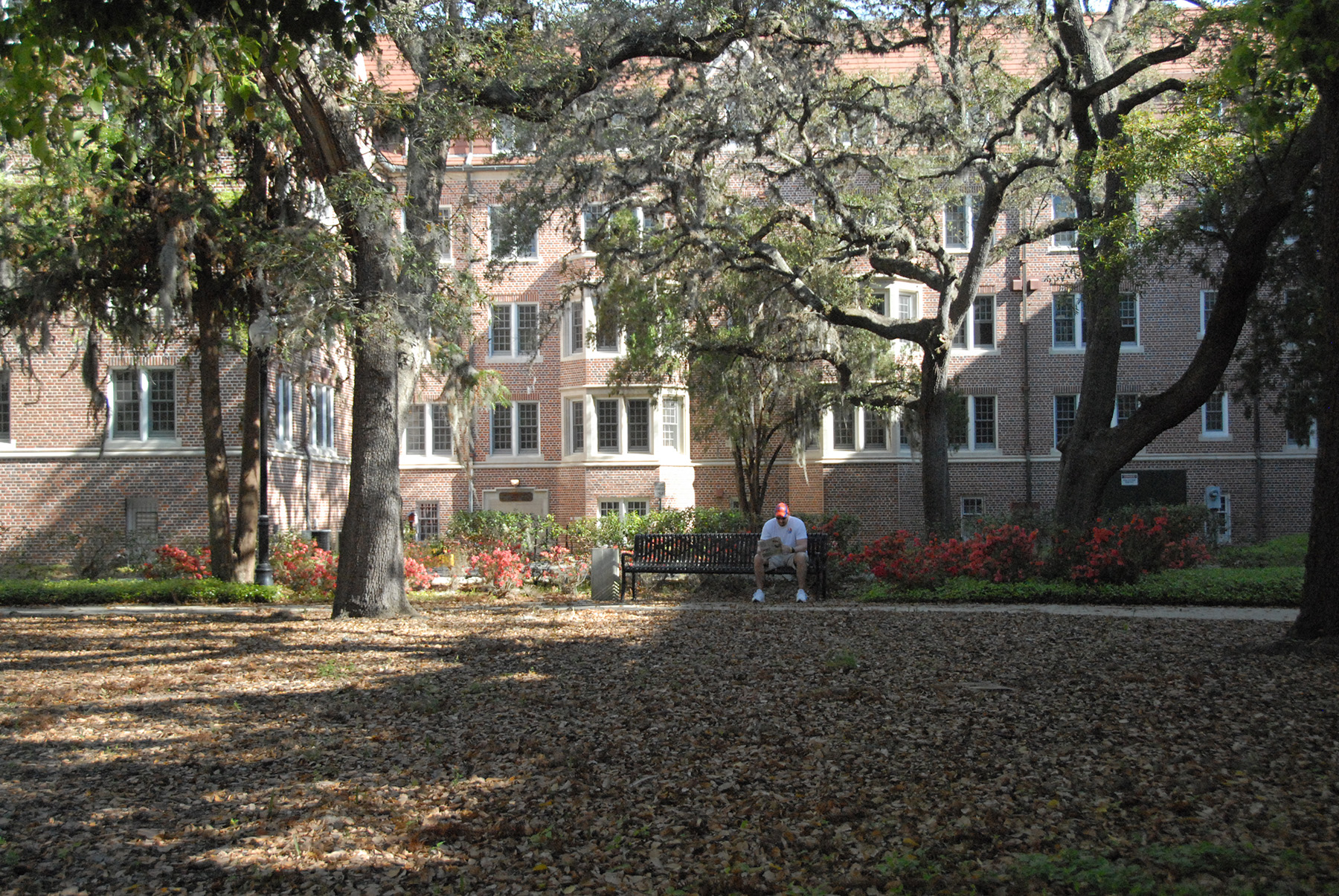 EDSA | University of Florida | Campus and Healthcare, USA