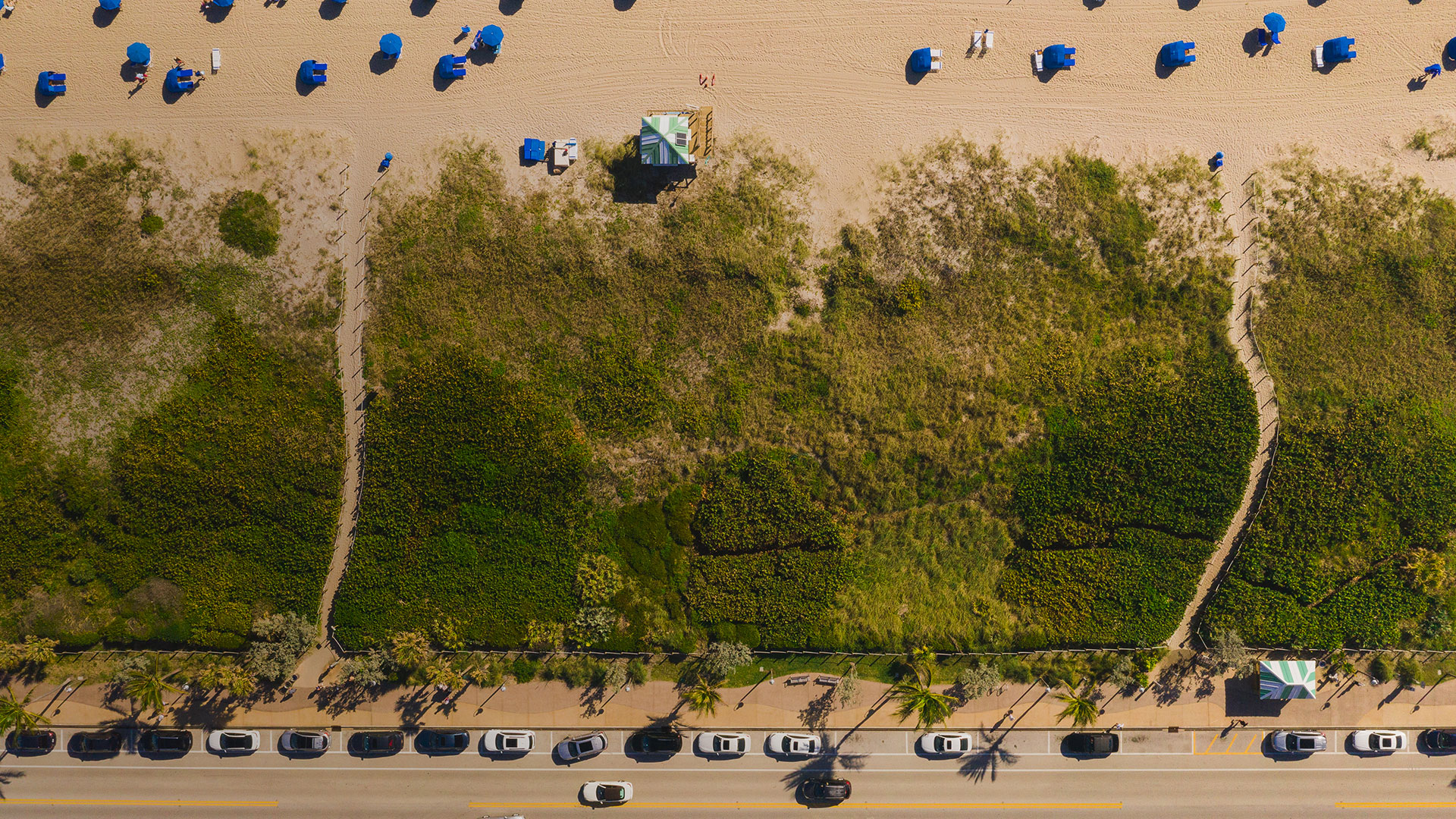 EDSA | The Firm | EDSA Impact